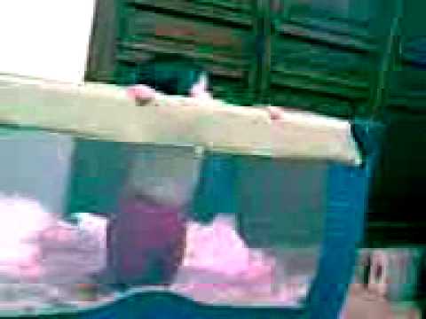 alexa-corral stand up - YouTube