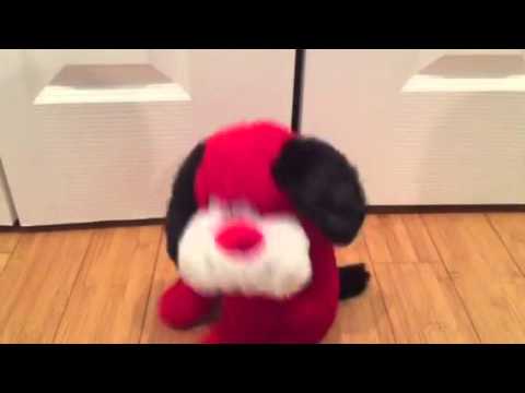 Dandee Singing Dog - YouTube