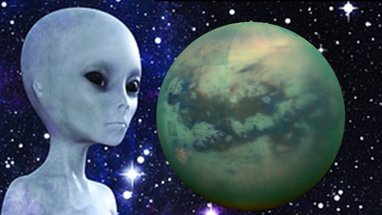 Bizarre alien creature found; Studies indicate there maybe life on ...