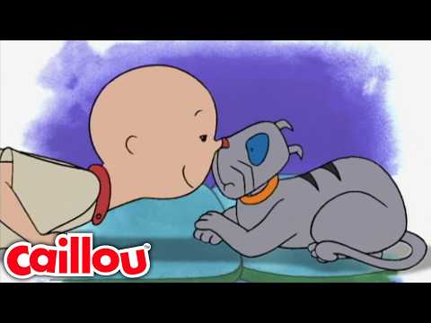 Magyarul és Gilbert | Rajzfilmek gyerekeknek | Caillou Magyarul