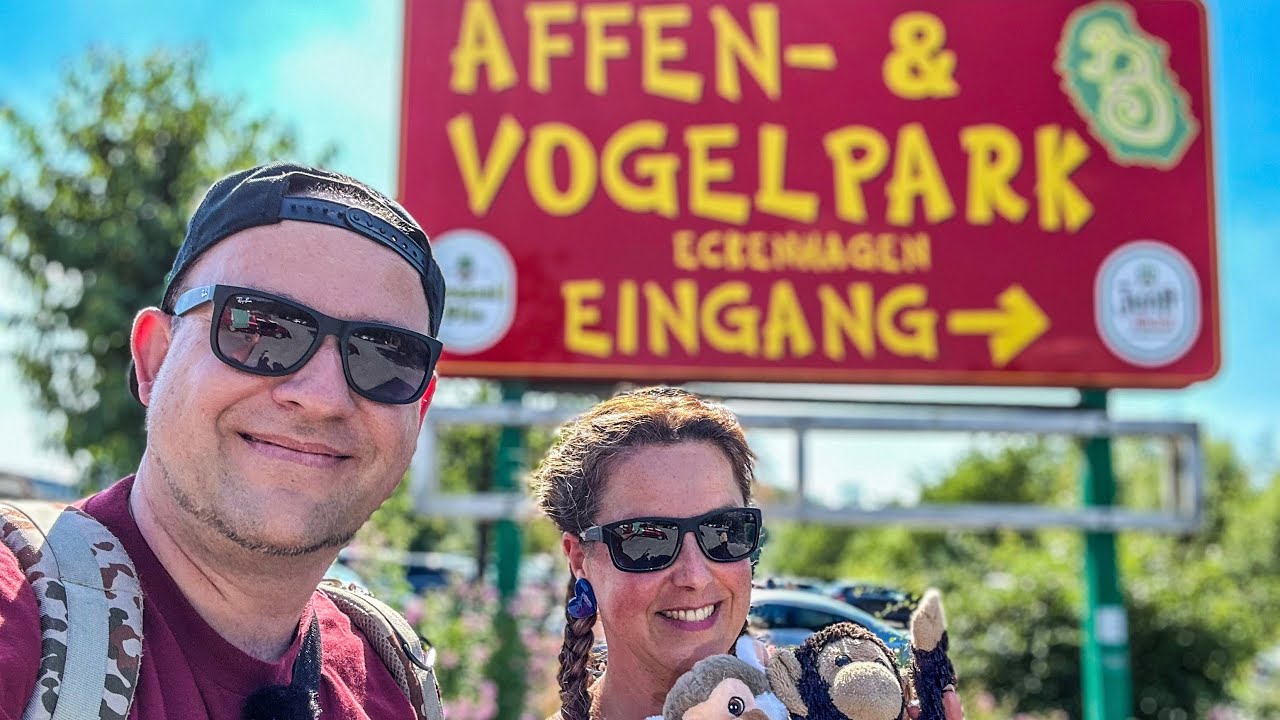 Freilaufende Affen 🙈 Affen & Vogelpark Eckenhagen - YouTube