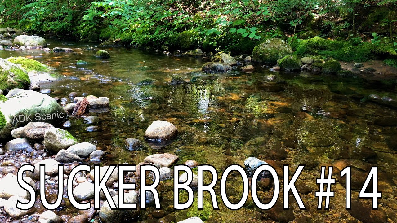 Relax and Calm to 4K Nature: ADK Sucker Brook #14 - YouTube