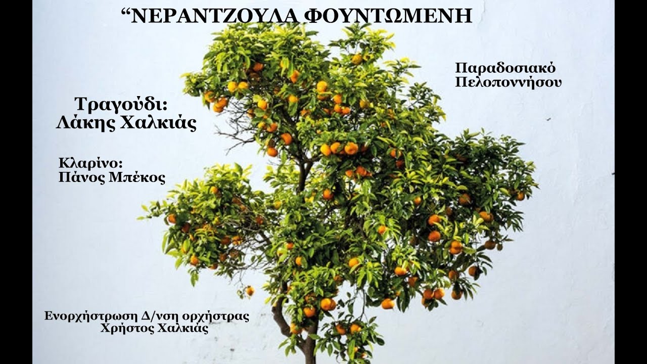 ΝΕΡΑΝΤΖΟΥΛΑ ΦΟΥΝΤΩΜΕΝΗ - ΛΑΚΗΣ ΧΑΛΚΙΑΣ - YouTube