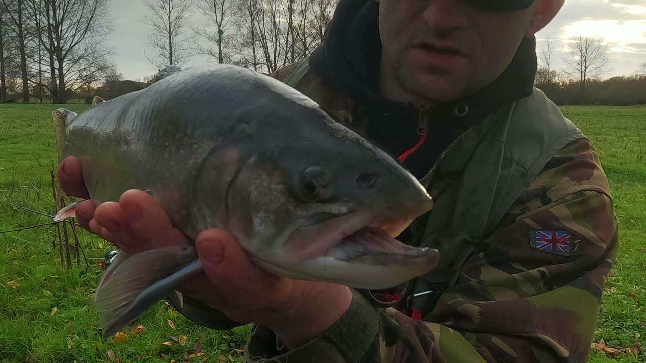 Spartic trout, szczupak i przegrana walka - YouTube