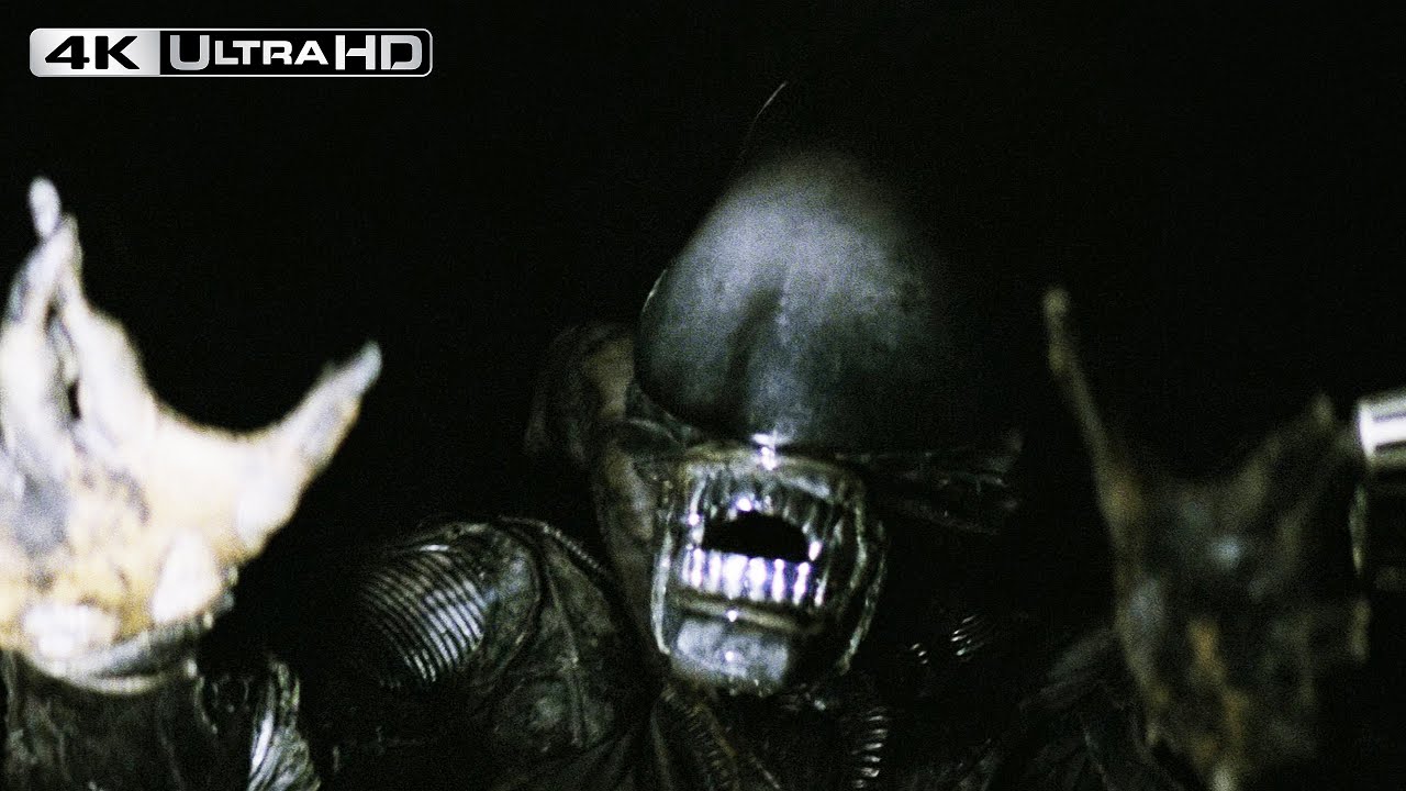 Alien 4K HDR | Get Out of There - YouTube