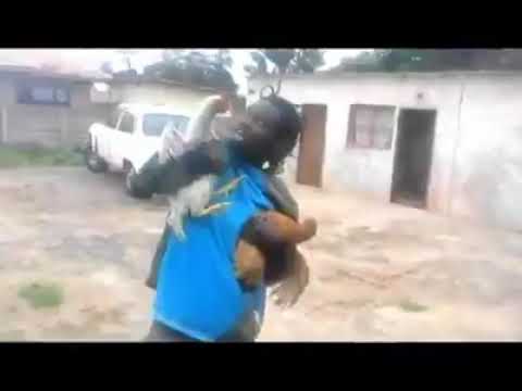 Van Choga ∈∋ Tokutsotsonya freestyle - YouTube