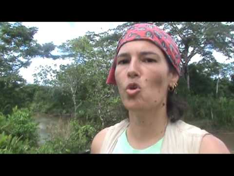 Chris Rials Seitz in Yasuni National Park , Penti Baihua Yasuni - YouTube