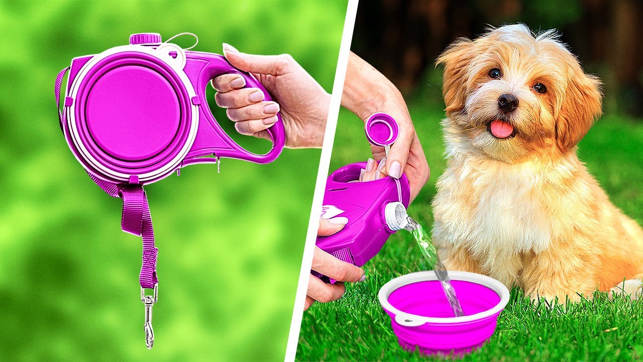 🦮🐶 Genius Pet Hacks, Gadgets and DIY Crafts For SMART PET OWNERS - YouTube