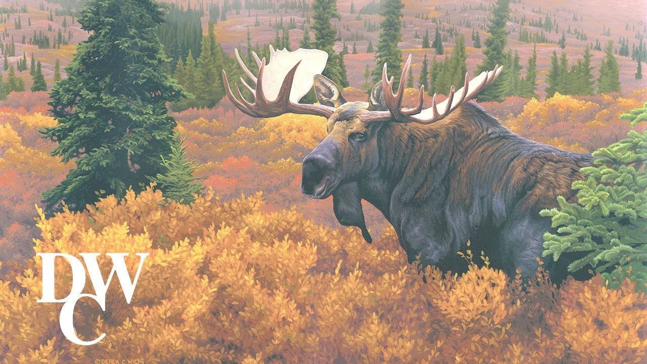 Inspired Creations #3 - Bull Moose Confrontation - Denali Autumn - YouTube