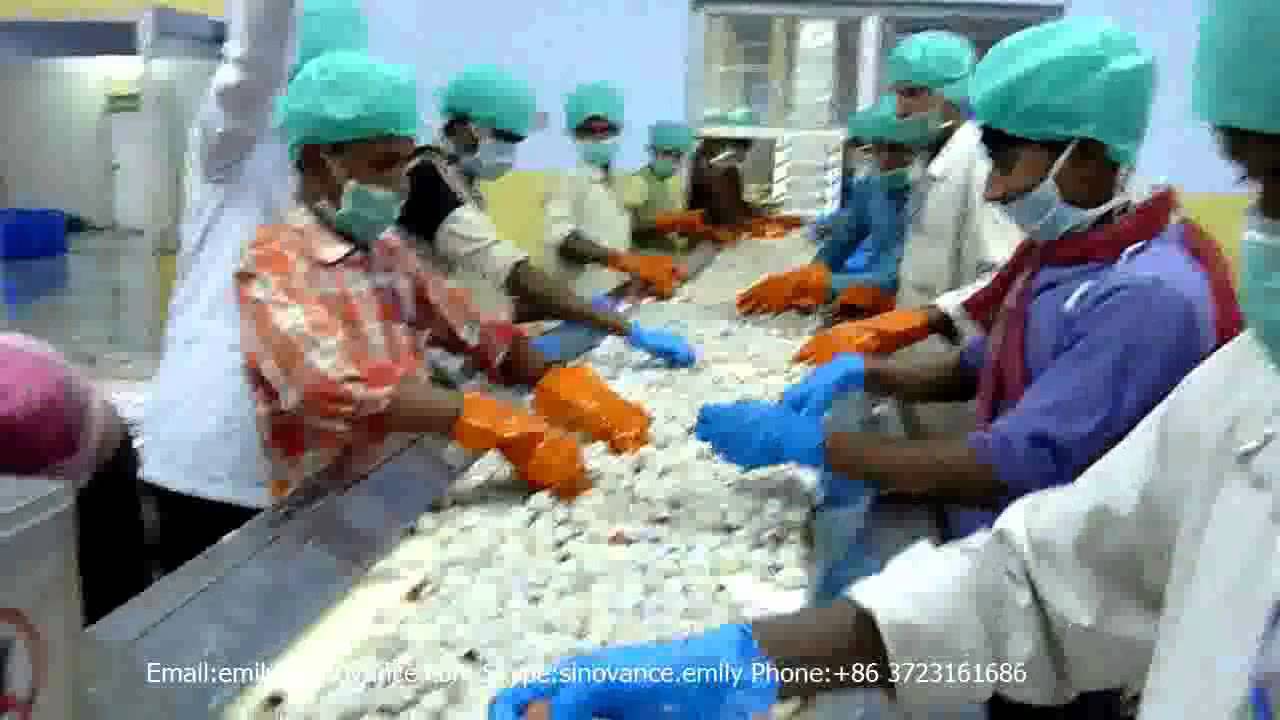 Lychee Peeling Machine 01 - YouTube