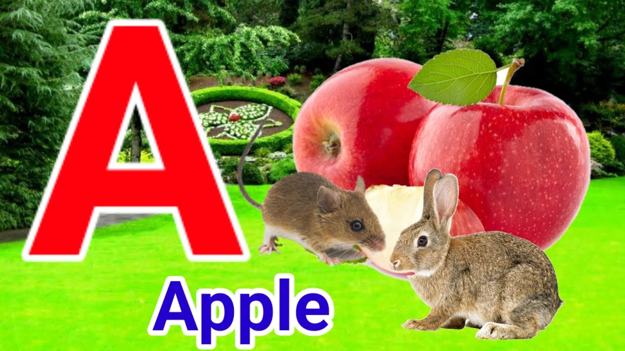 A for apple b for ball c for catd for dog abcd alphabet learning ...