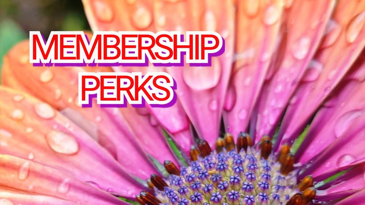 MEMBERSHIP PERKS II INVITATION II Luzy Ville - YouTube