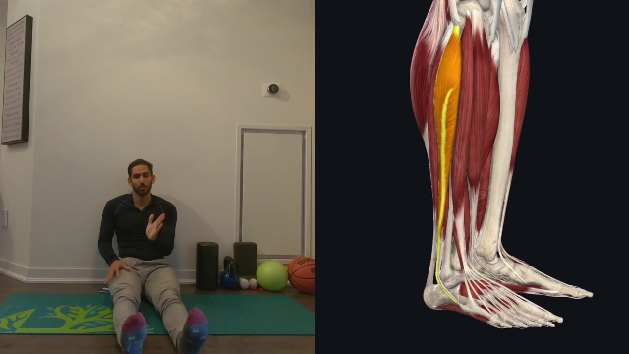 Exploring Ankle Motion Evervsion AROM ankle EVER - YouTube
