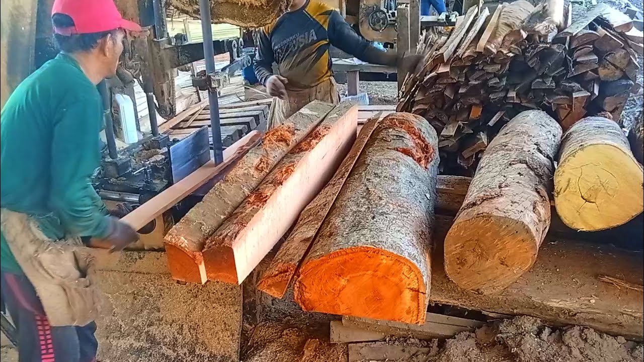 full durasi.. menggergaji kayu durian, Medang, Pete,pauh dan kayu ...