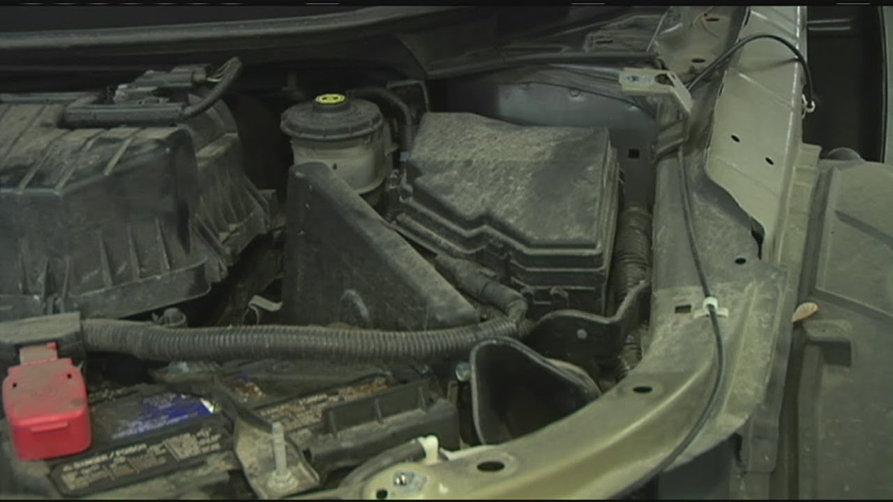 Cold nights may bring mice inside your car - YouTube
