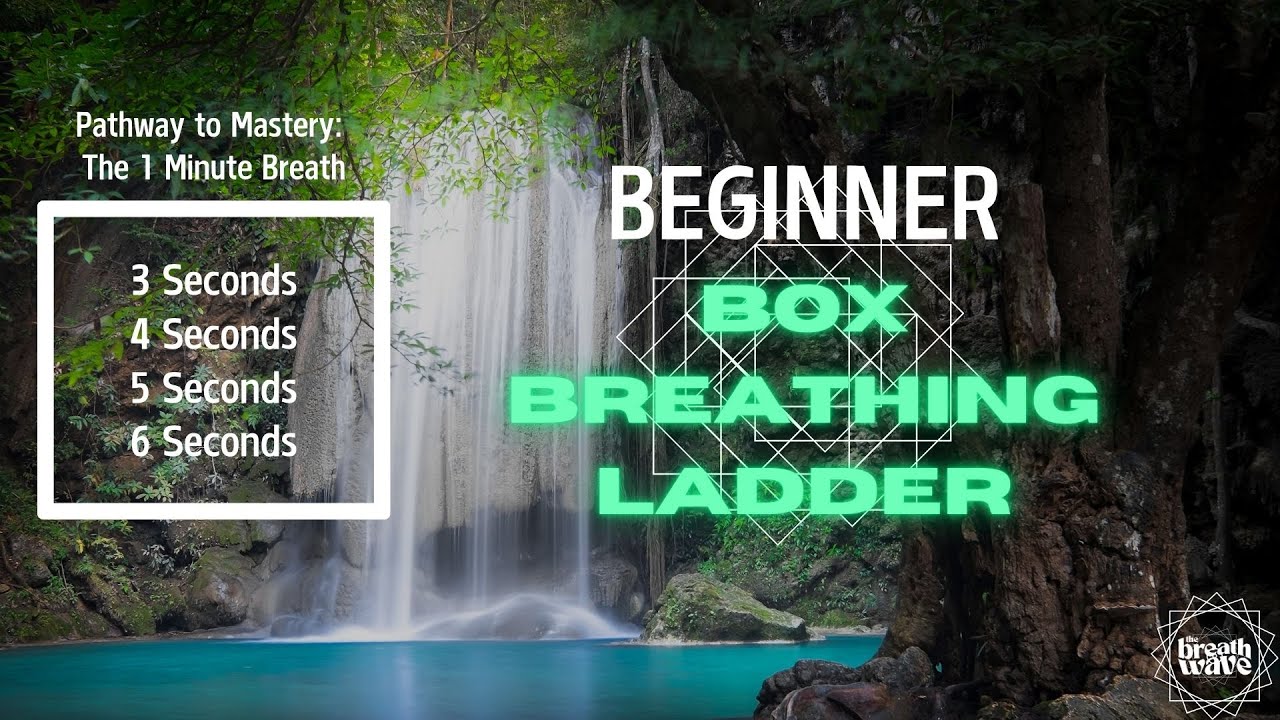 Box Breathing Ladder | Beginner | 1 Minute Breath Mastery Series - YouTube