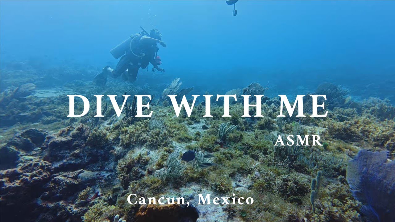 Dive with me | Cancun, Mexico | ASMR no talking | Diving course | SCUBA ...