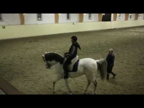 Sofie rider lusitano 5 - YouTube
