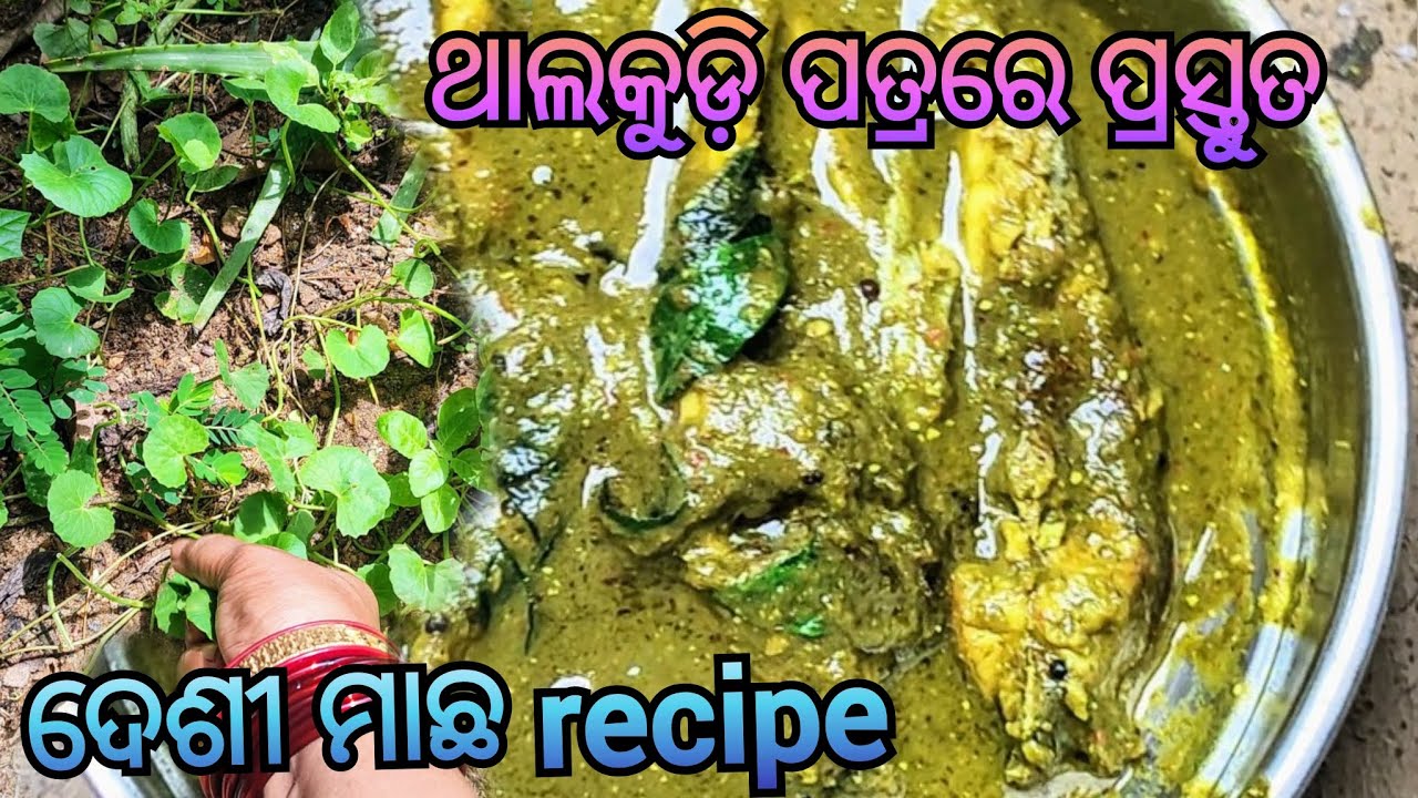 ଥାଲକୁଡି ପତ୍ର ଦେଇ ଏମିତି ପ୍ରସ୍ତୁତ କରନ୍ତୁ ଦେଶୀ ମାଛ recipe।taste ରେ ପୁରା ...
