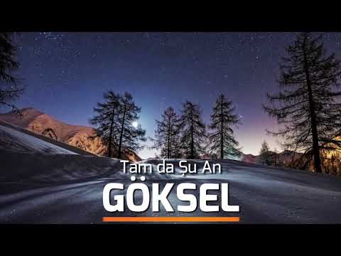göksel | tam da şu an