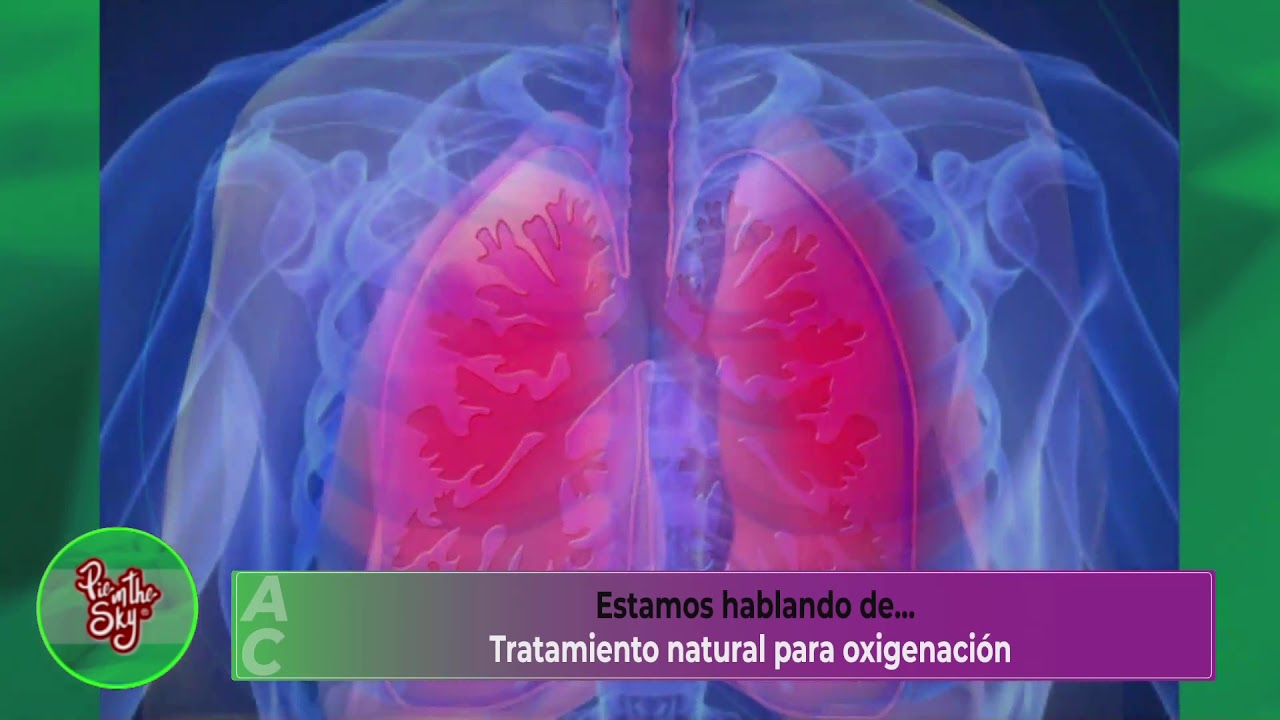¿Qué significa la BAJA saturación de OXÍGENO? | Formas de medir OXÍGENO ...