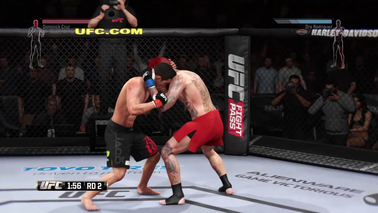 UFC TITLE FIGHT - YouTube