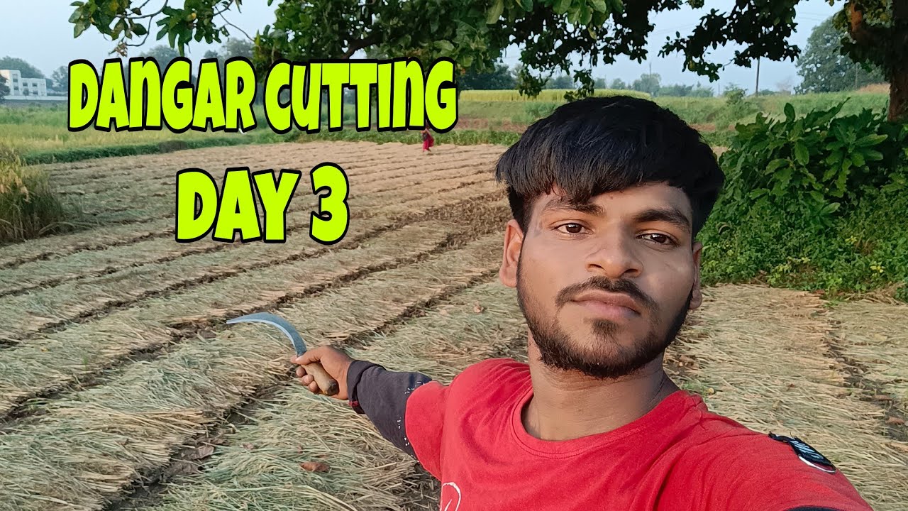 😱 FARMING WORK DAY 3 || DANGAR CUTTING ||RUTVIK VLOGGER - YouTube