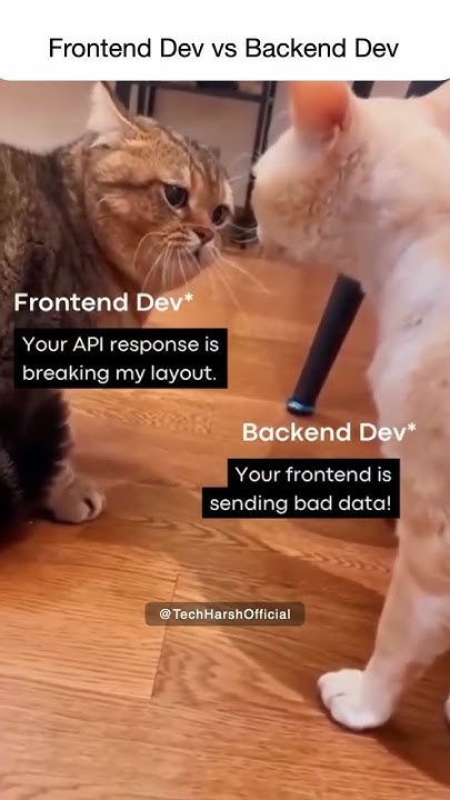 Frontend developer vs backend developer be like... #shorts #funny # ...