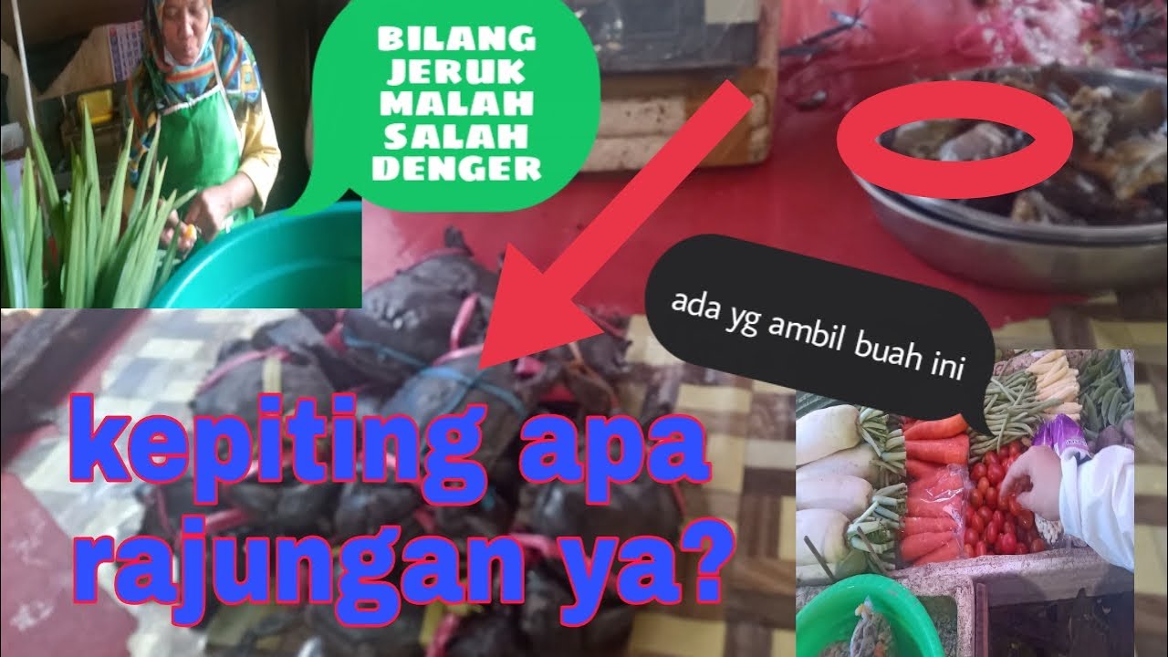 kepasar beli kepiting, liat buah Atep #kepiting #buahatap #sayurokra ...