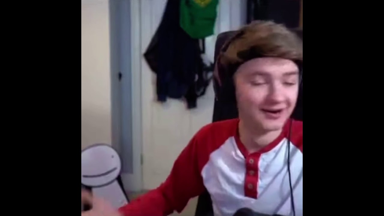 TommyInnit Hits Dream With A Diamond Sword IRL! - YouTube
