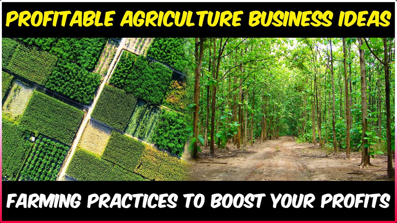 Innovative Agriculture Business Ideas for Sustainable and Profitable ...