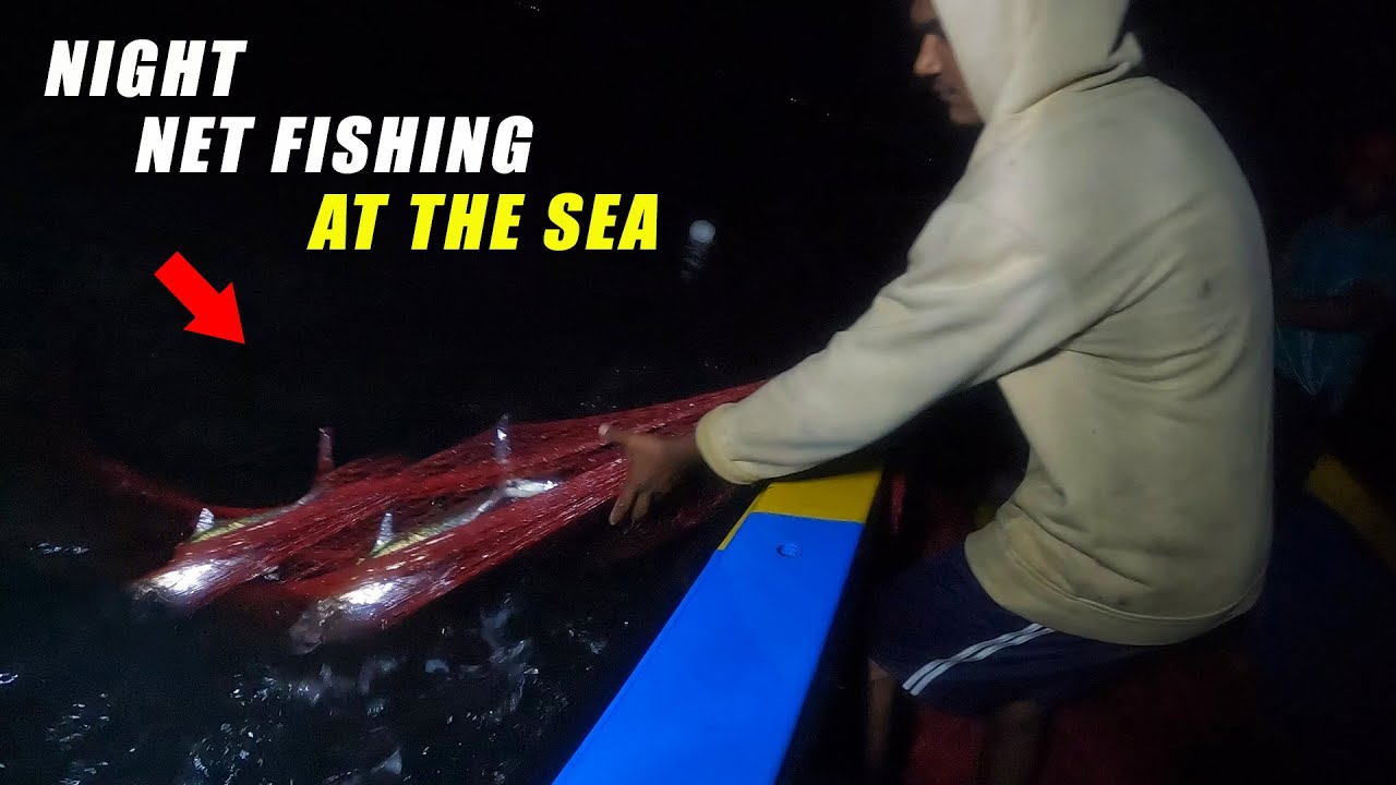 Wow! Net Fishing at Night With Lights And Catching Back To Back Spanish ...