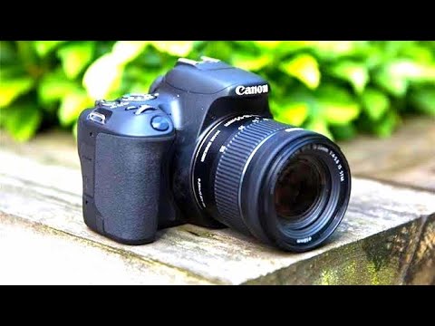 Canon Eos Rebel T81 - STM Lens Kit - YouTube