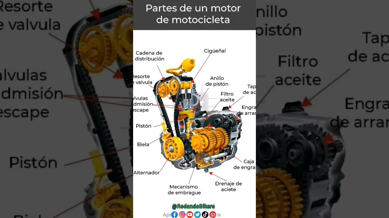Diagrama De Piezas Del Motor De La Motocicleta