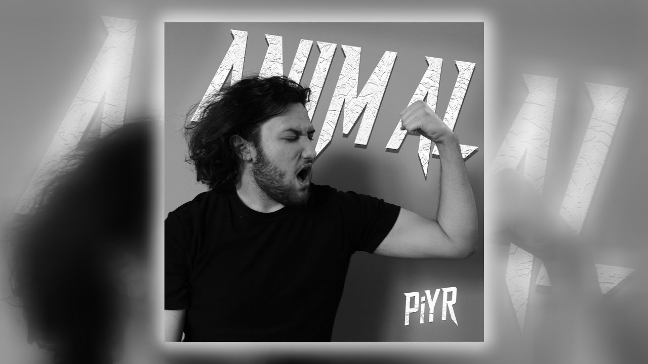 PiYR - ANIMAL (Audio Officiel) - YouTube