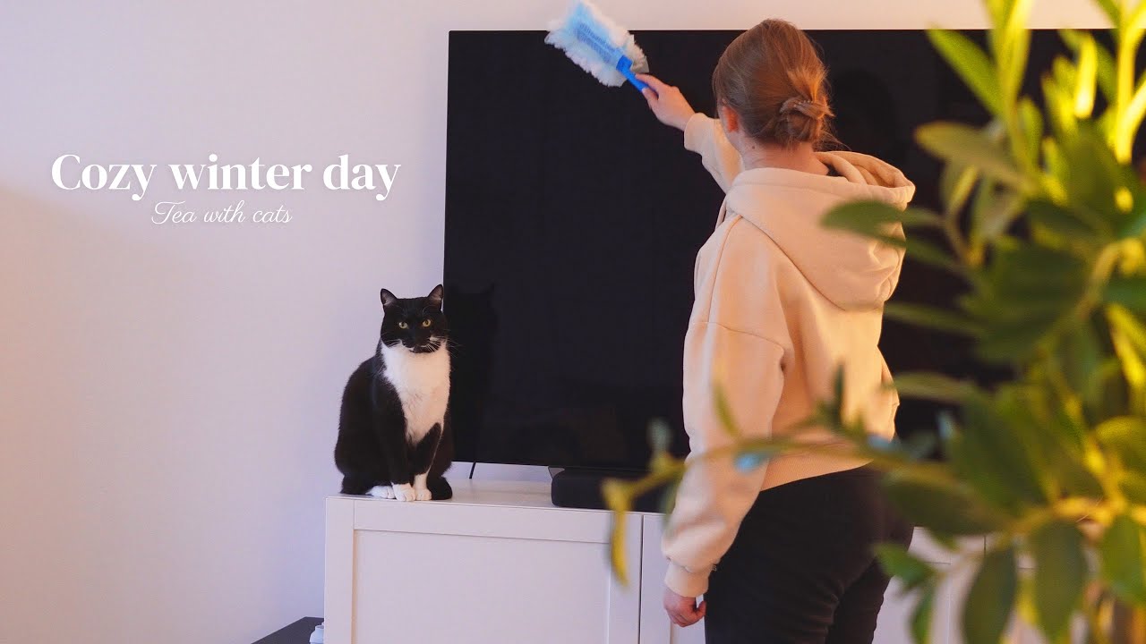 Cozy winter day | Calm New Year reset | Vlog no. 14 - YouTube