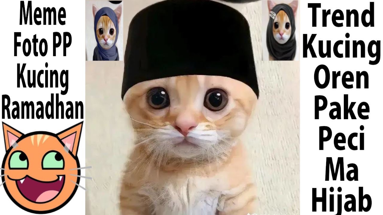 Kenapa PP Kucing Ramadhan Ada Dimana Mana - YouTube