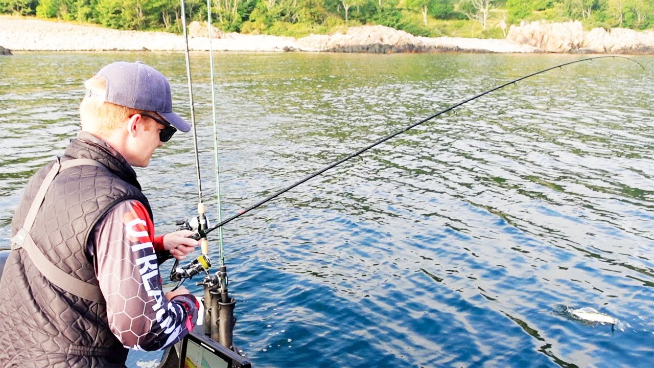 HAVSFISKE i SKÄLDERVIKEN - Sommar, småtösk & pillemete - YouTube