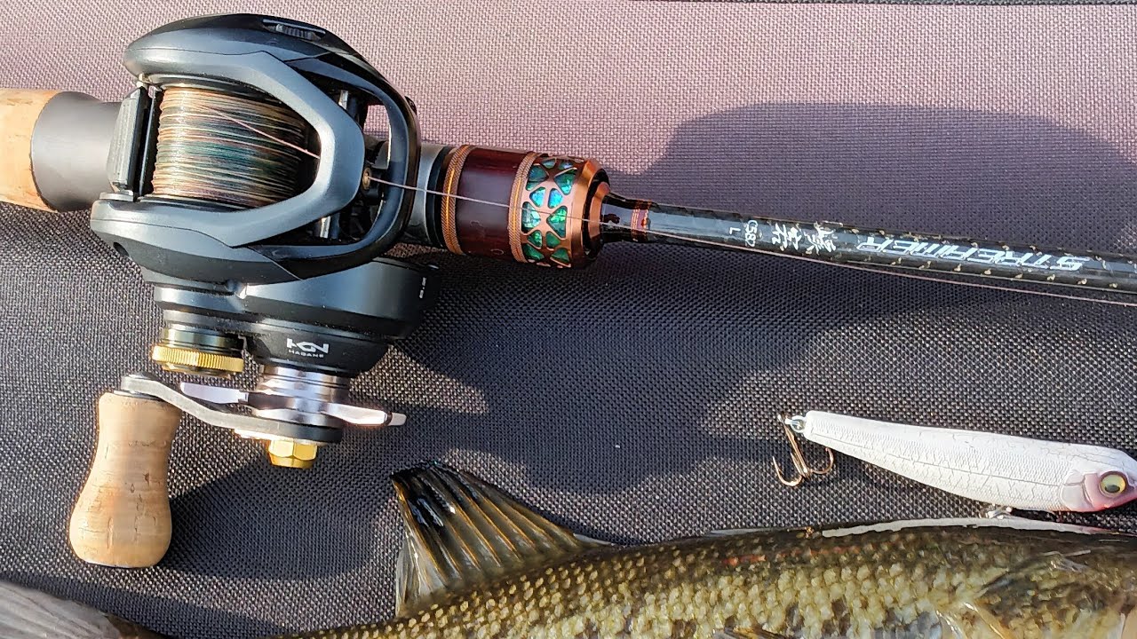 BnB in Depth Rod Reel Bass Fishing BFS Combo Shimano Curado BFS XG ...