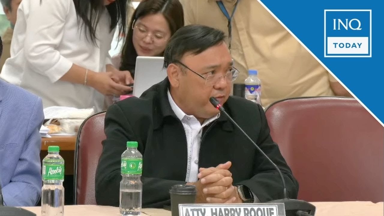 Harry Roque cited for contempt after lying about absence in House probe ...