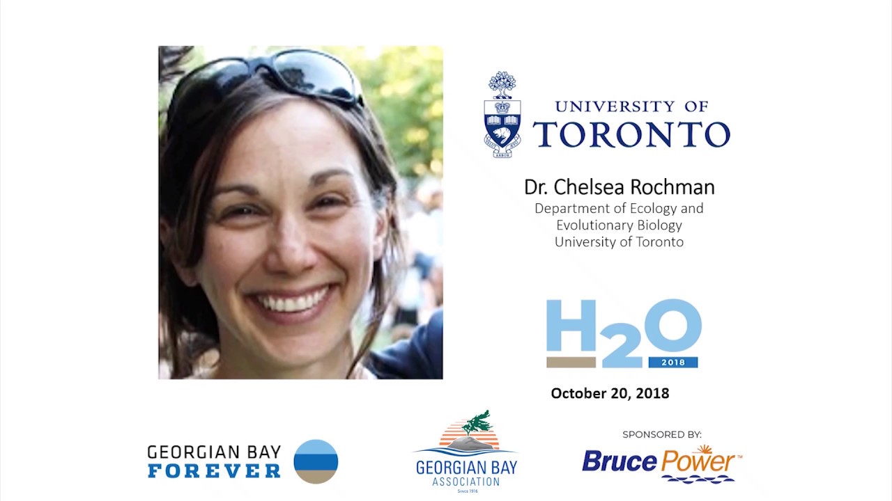 Microplastics and Microfibres. Plastic pollution and aquatic ecosystems ...