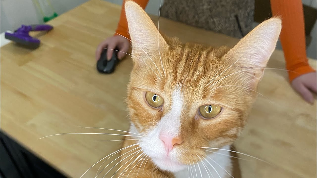 Average Stream Itinerary…. - YouTube