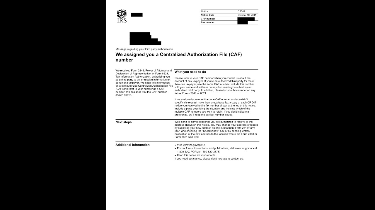 Understanding IRS CP547 Notice — What It Means for Your Tax Audits and ...