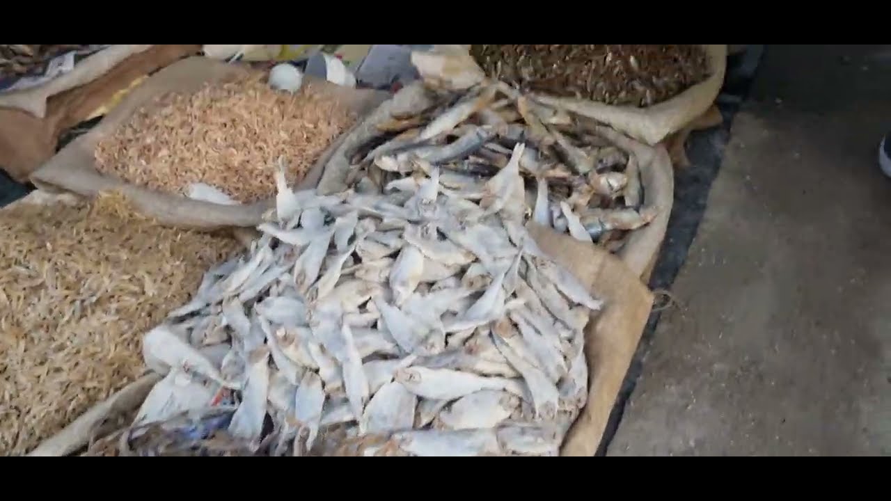 Hut Bazaar part =1// 2024 vlog - YouTube