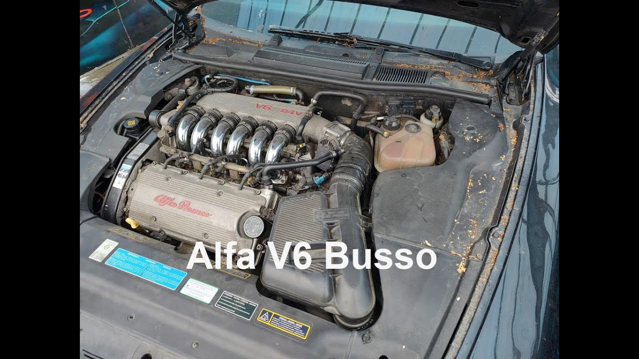 Alfa Romeo V6 Busso first start after months of sitting - YouTube