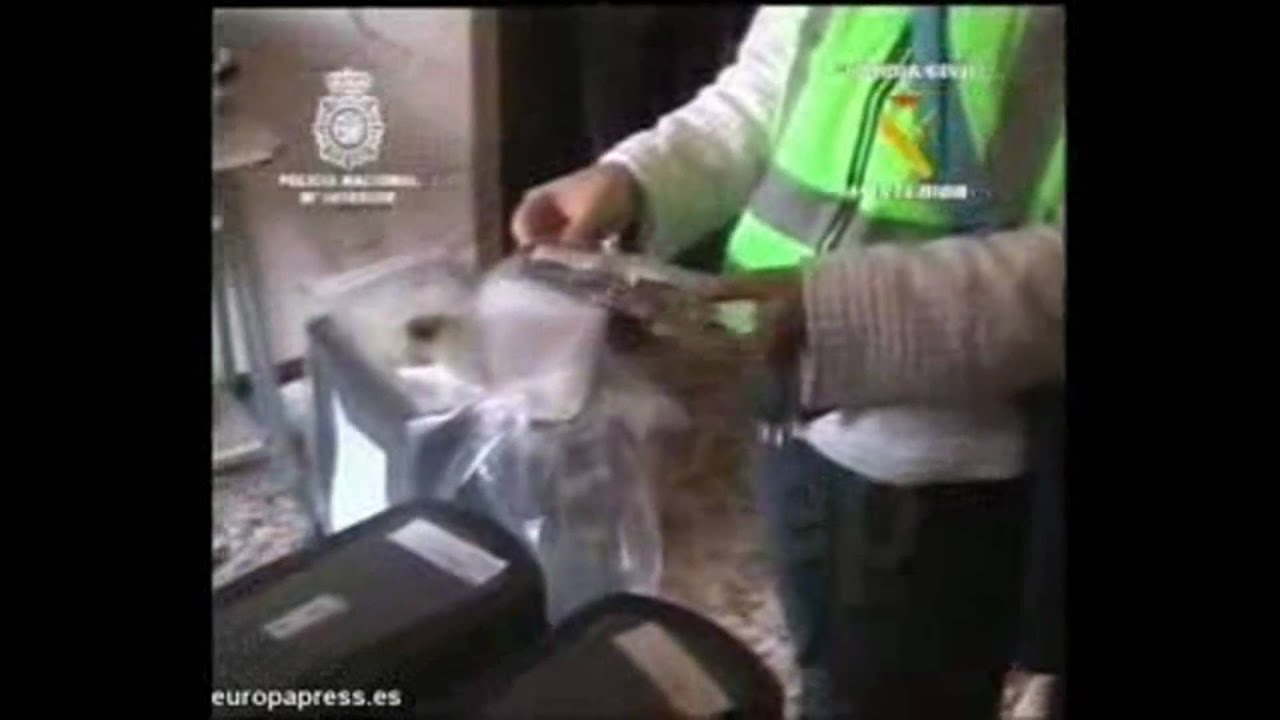 DDP AD3 Desarticulan banda 'Dominican don't play' - YouTube