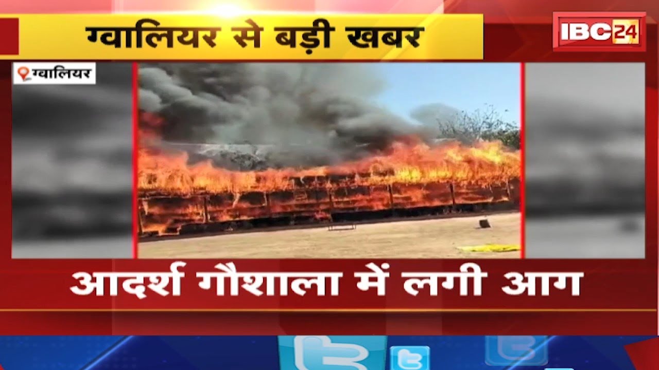 Gwalior Fire News : आदर्श गौशाला में लगी आग। गौशाला में 10 हजार से ...