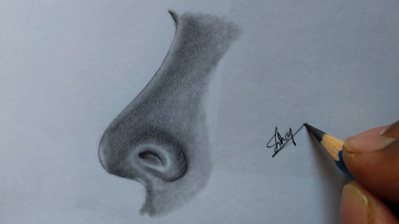 NOSE DRAWING. How to draw a nose from a side. Step by step nose drawing ...