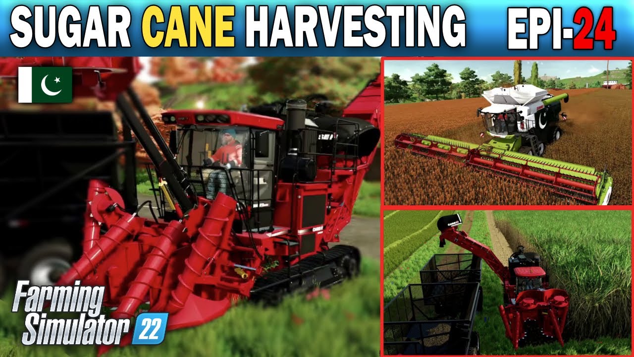 Harvesting Sugar Cane and Sorghum FS22 Multiplayer Gameplay - YouTube