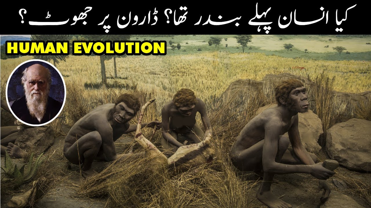 Did Humans Evolve from Monkeys? | Darwin's Misunderstood Theory - YouTube